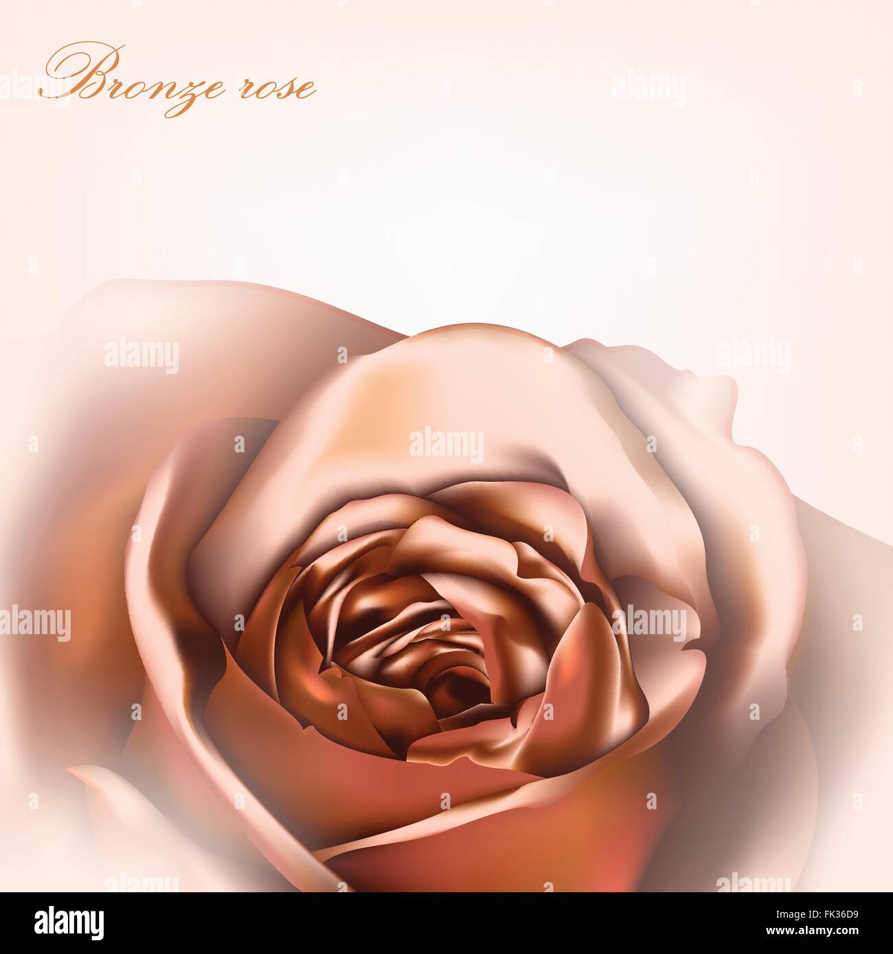 Rose gold vector vectors hi-res stock photography and images - Alamy