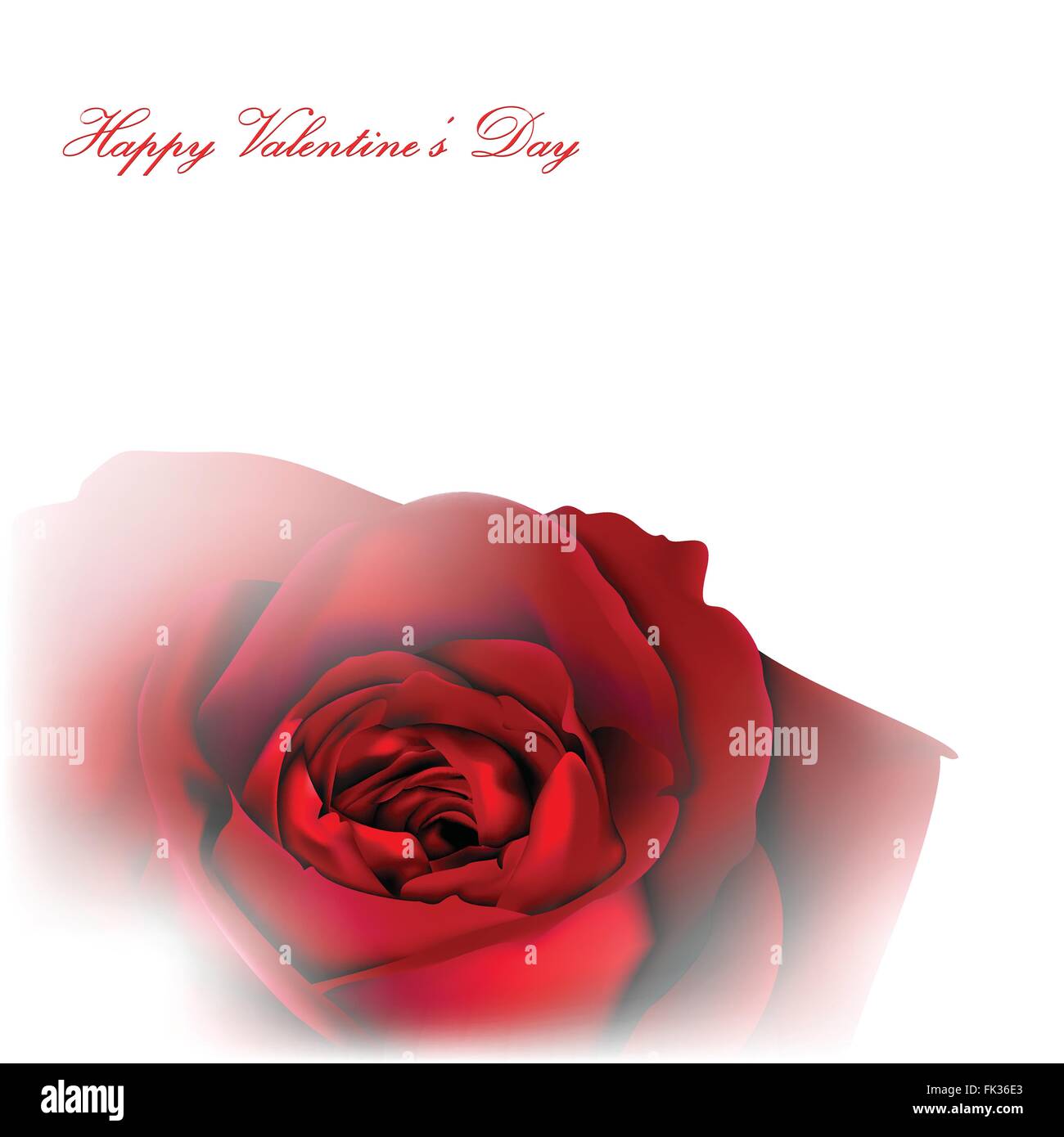 Red rose greeting card, vector Stock Vector Image & Art - Alamy