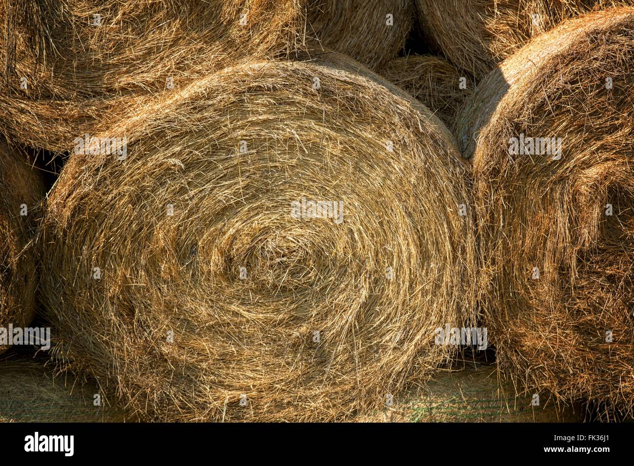 Food bails hi-res stock photography and images - Alamy