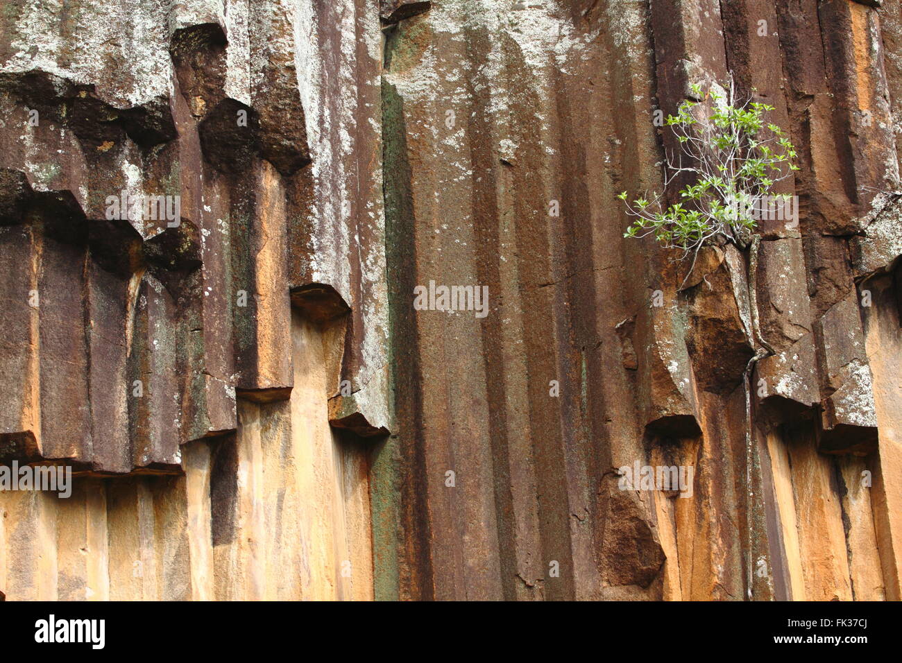 "Sawn Rocks" in Kaputar National Park near Narrabri, NSW, Australia ...