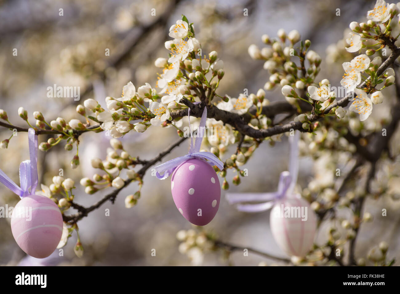 Purple easter hi-res stock photography and images - Alamy