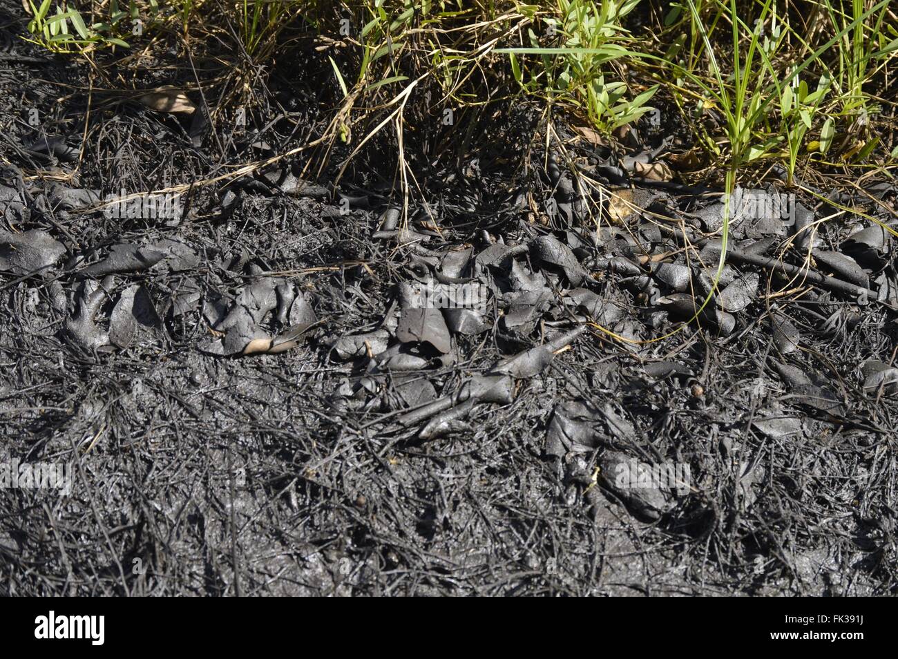 Industrial oil-contaminated soil Stock Photo - Alamy
