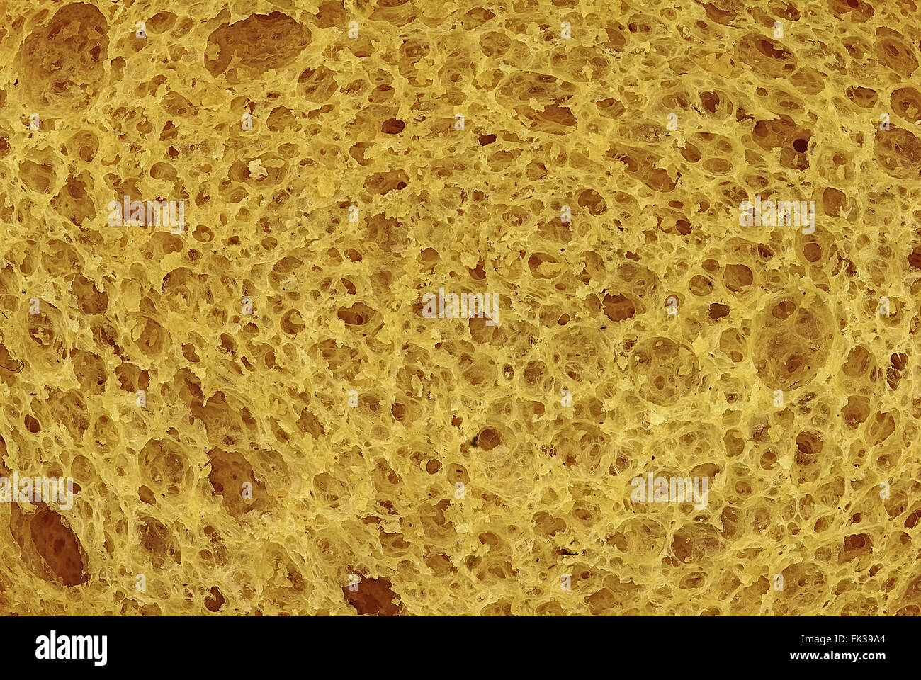 Toasted bread close up Stock Photo - Alamy