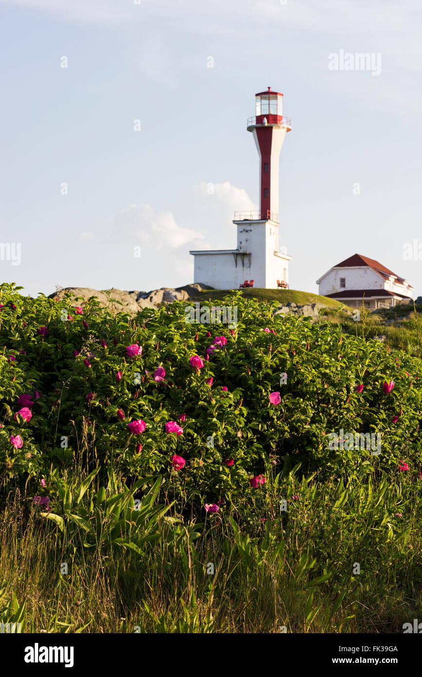 Cape Forchu Lighthouse in Nova Scotia in Canada Stock Photo - Alamy