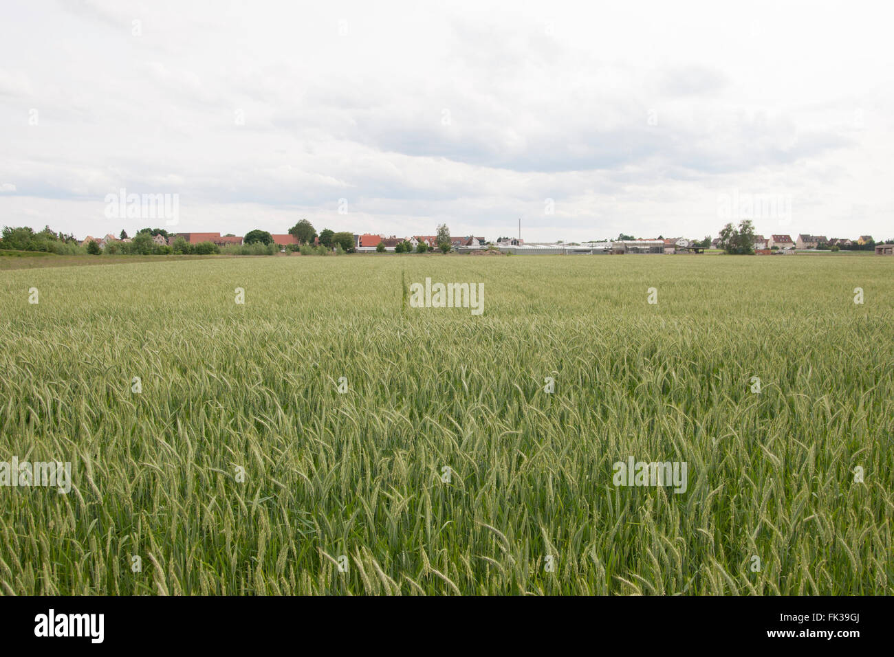 Knoblauchsland hi-res stock photography and images - Alamy