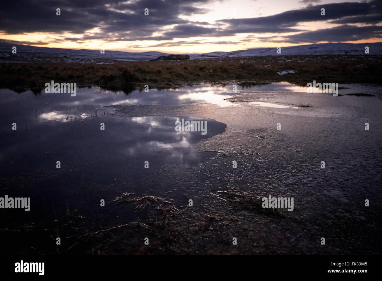 Ice pool hi-res stock photography and images - Alamy