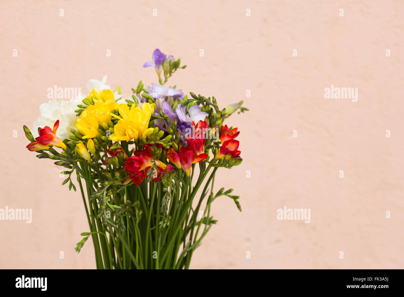 Roses and daffodils hi-res stock photography and images - Alamy