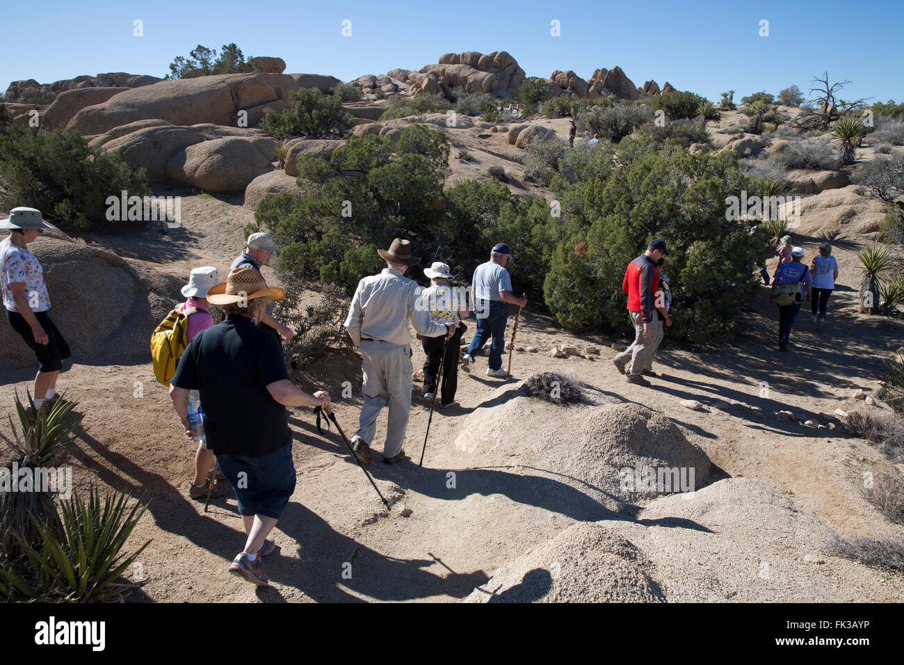 Ranger led tour, Jumbo Rocks, Joshua Tree National Park, California ...