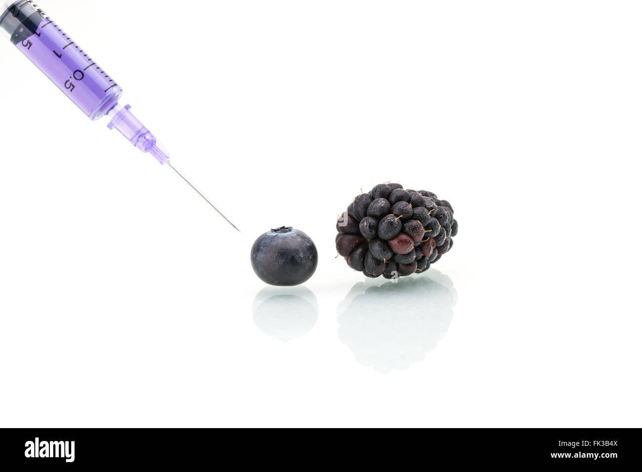 Genetic Modification, blueberry, blackberry, fruit, modification, gene ...