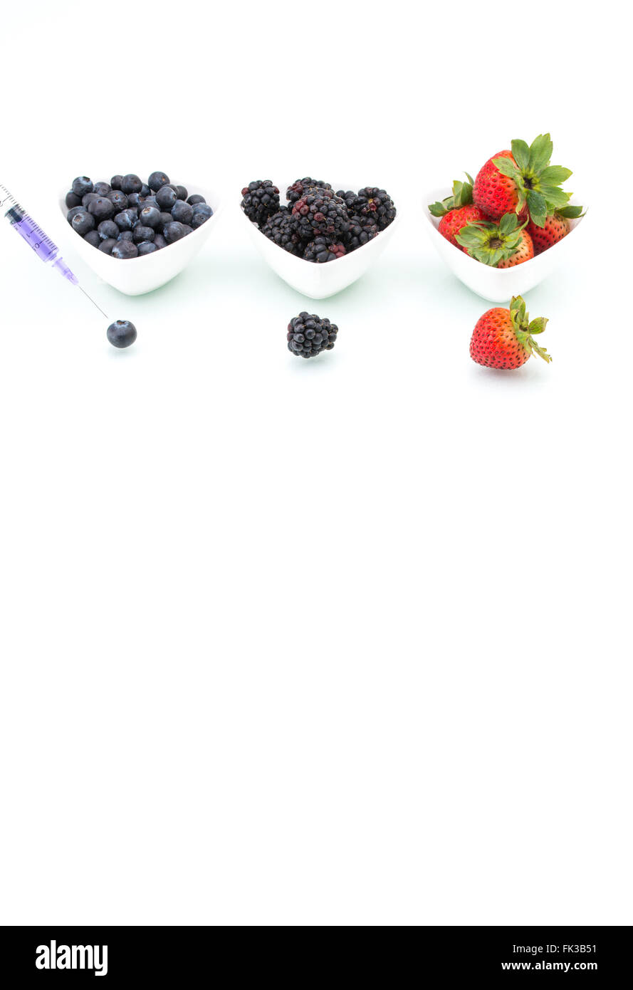 Genetic Modification, blueberry, blackberry, strawberry, fruit ...