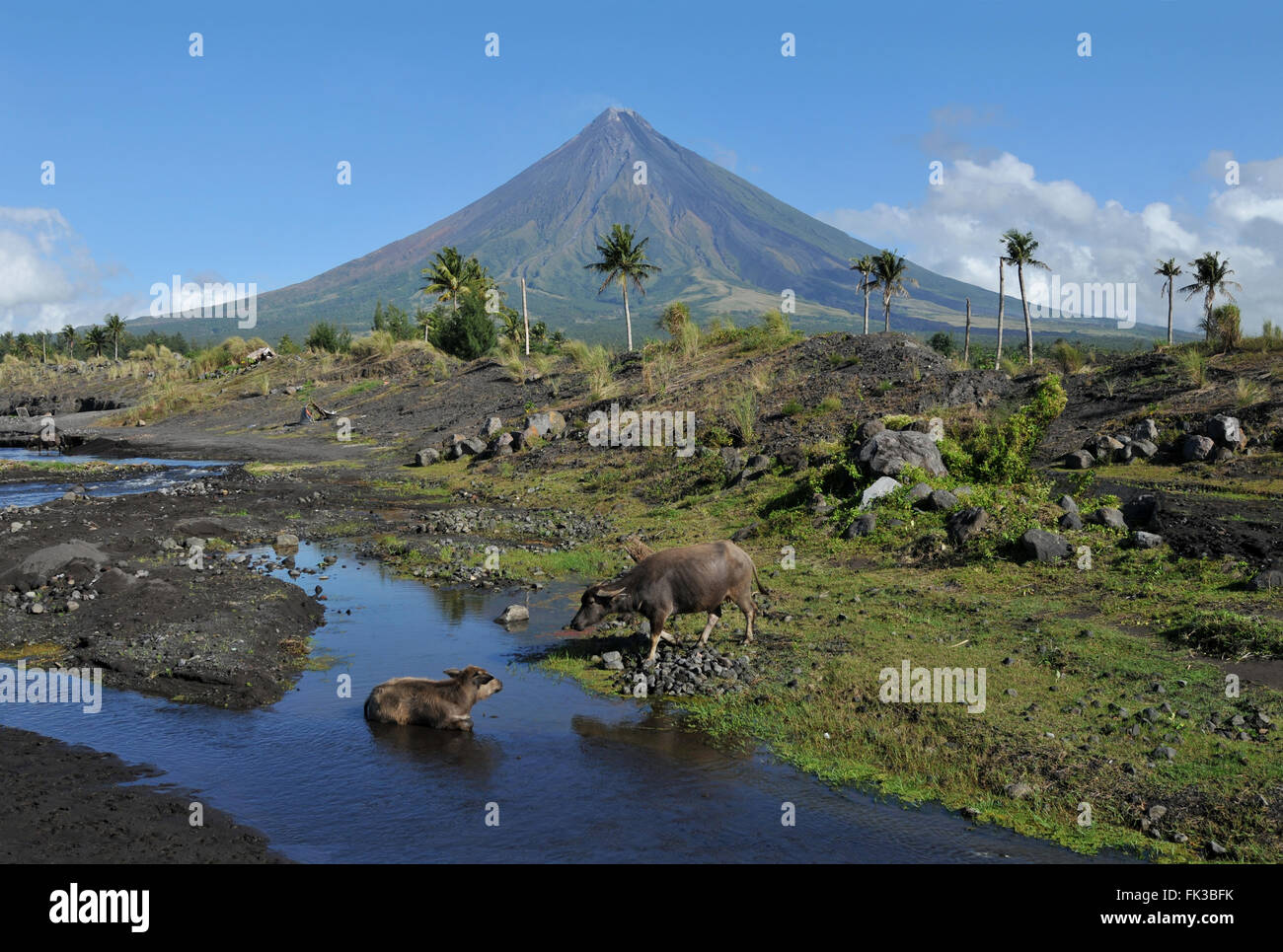 Province bicol philippines hi-res stock photography and images - Alamy