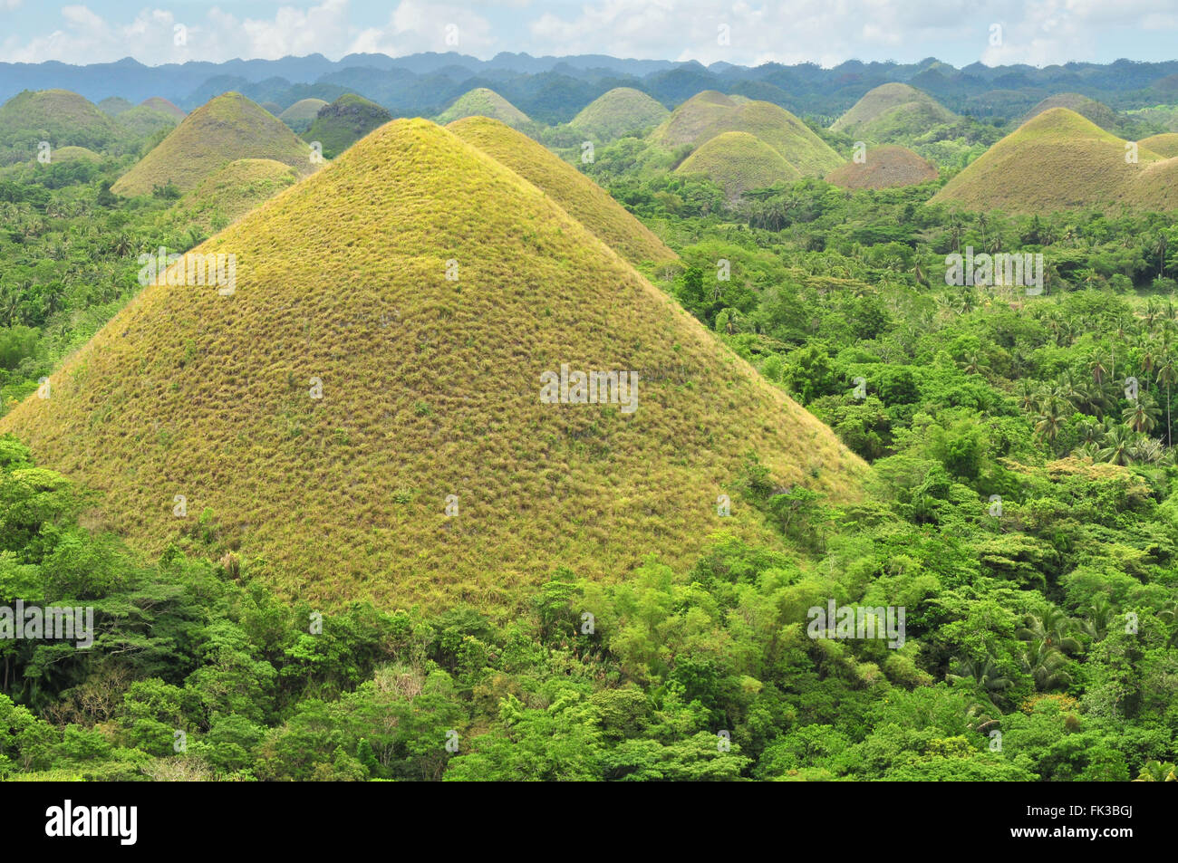 Chocolate hills is in the province of bohol philippines hi-res stock ...