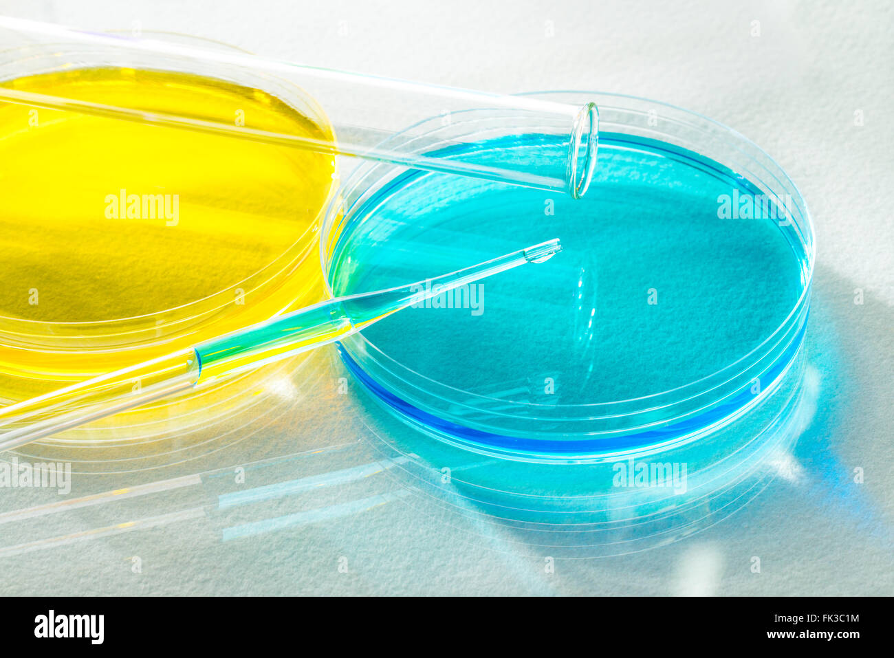 Laboratory Equipment Scientific Research, reflective white background ...