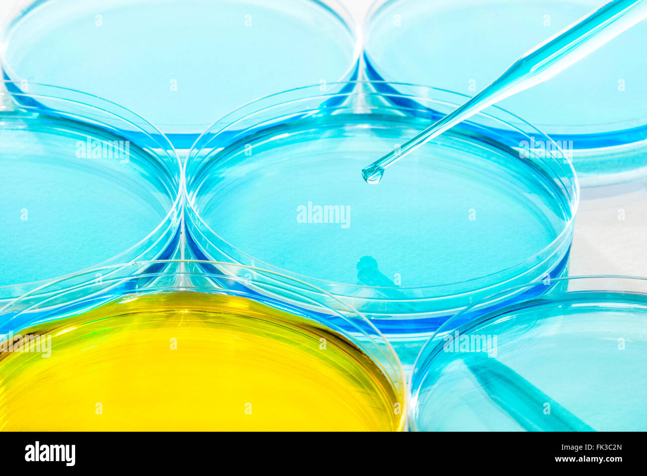 Laboratory Equipment Scientific Research, reflective white background ...