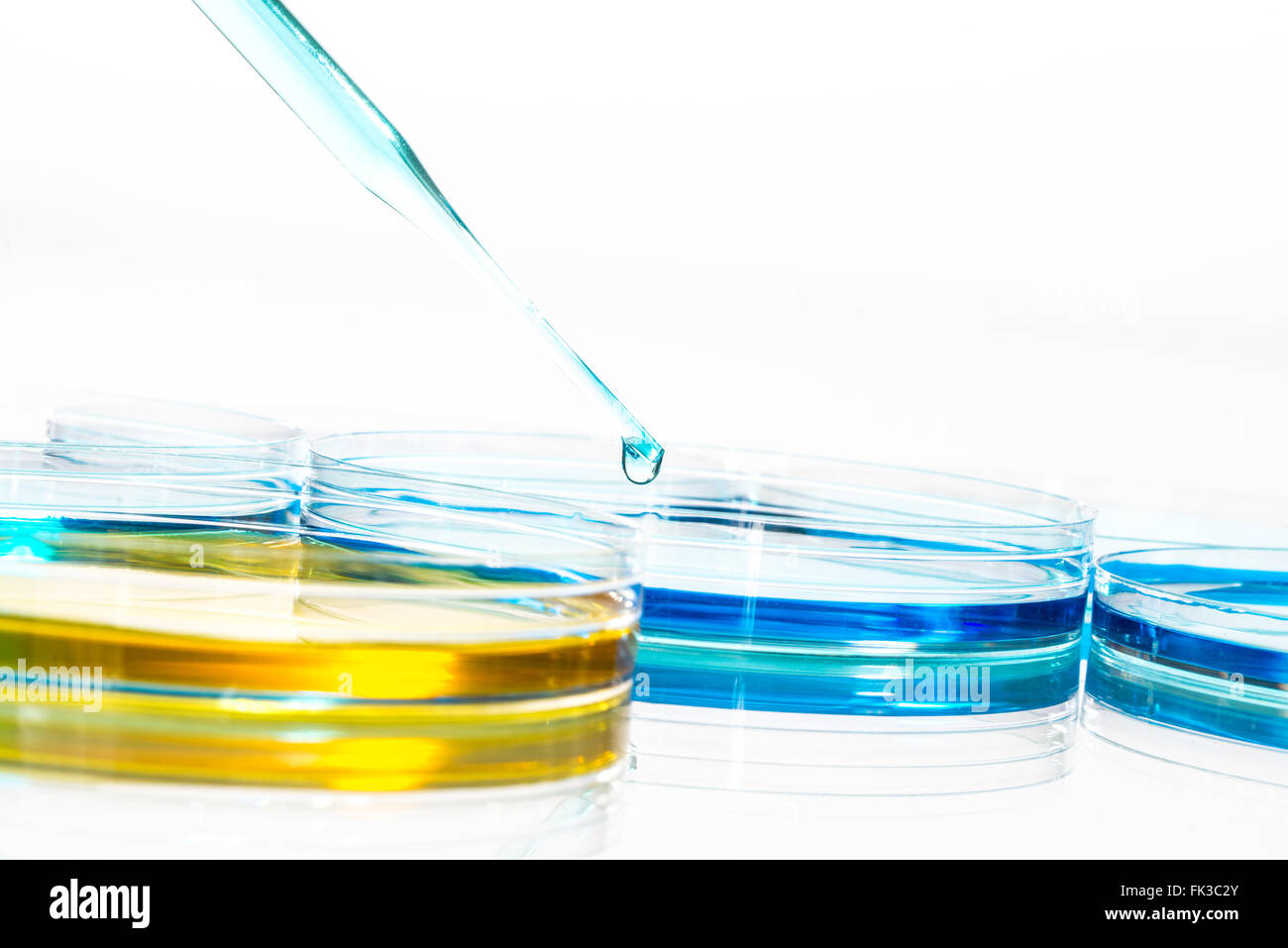 Laboratory Equipment Scientific Research, reflective white background ...