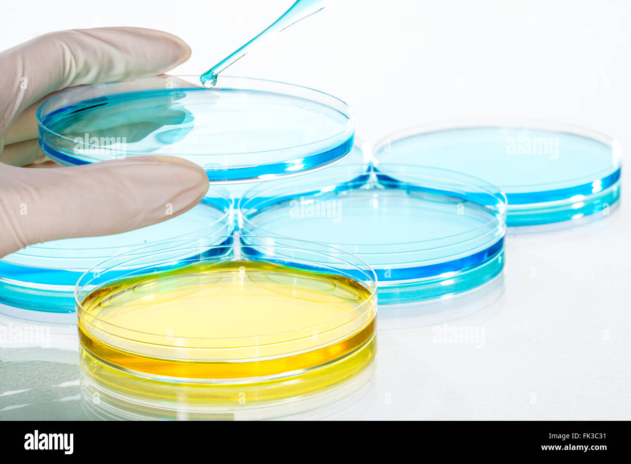 Laboratory Equipment Scientific Research, reflective white background ...