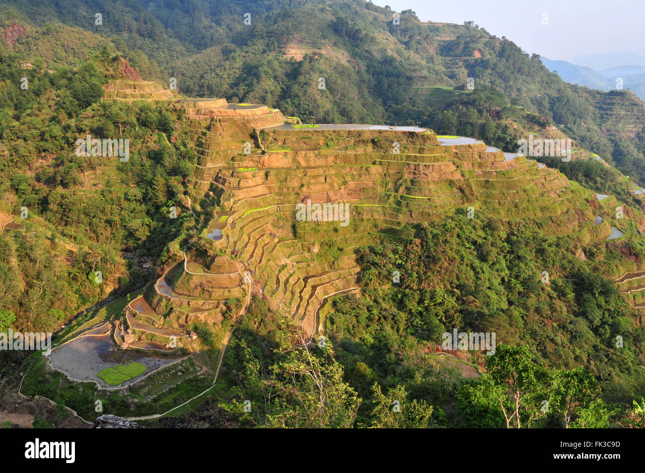 Philippines rice fields hi-res stock photography and images - Alamy