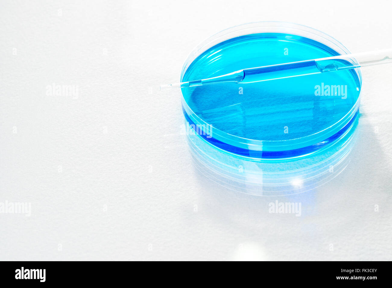 Laboratory Equipment Scientific Research, reflective white background ...