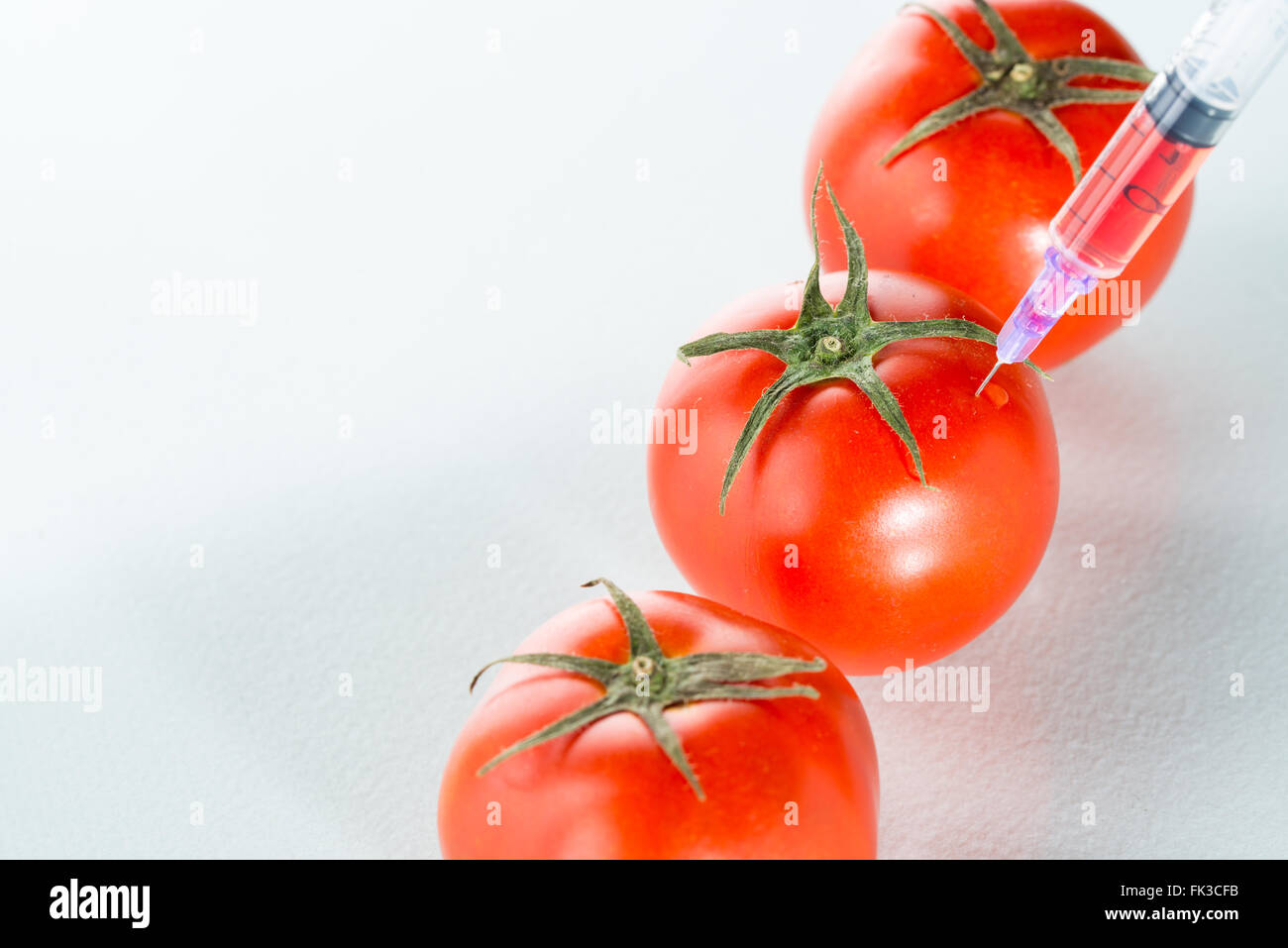 eating genetic modification red tomato laboratory glassware agriculture ...