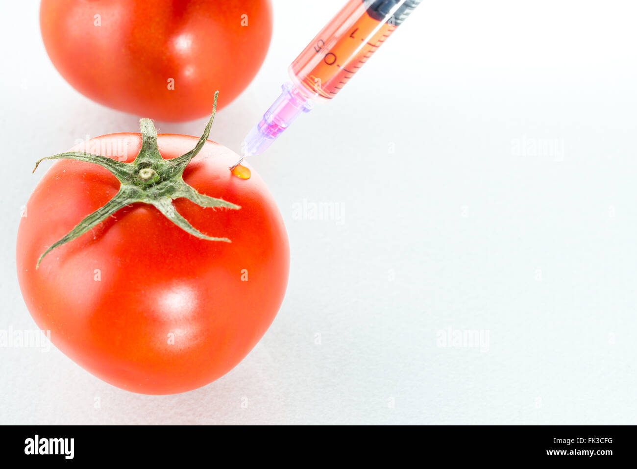 eating genetic modification red tomato laboratory glassware agriculture ...