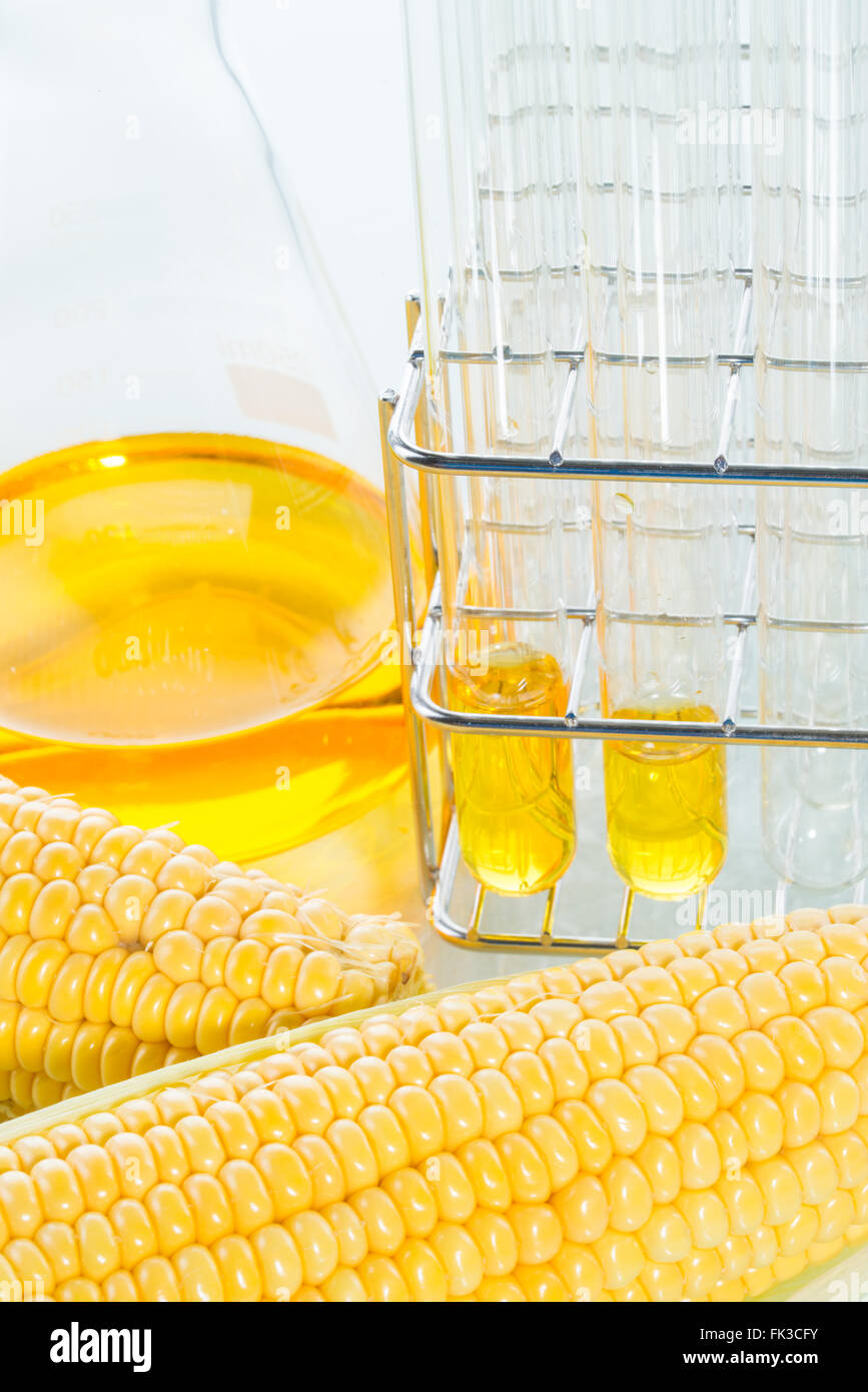 Biofuel or Corn Syrup, gasoline, energy, environmentalist Stock Photo ...