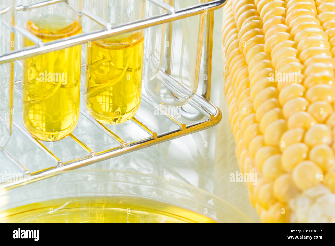 Biofuel or Corn Syrup, gasoline, energy, environmentalist Stock Photo ...