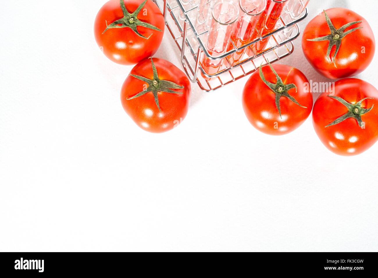 vegetable test, tomato, Genetic Modification, Scientific Experiment ...