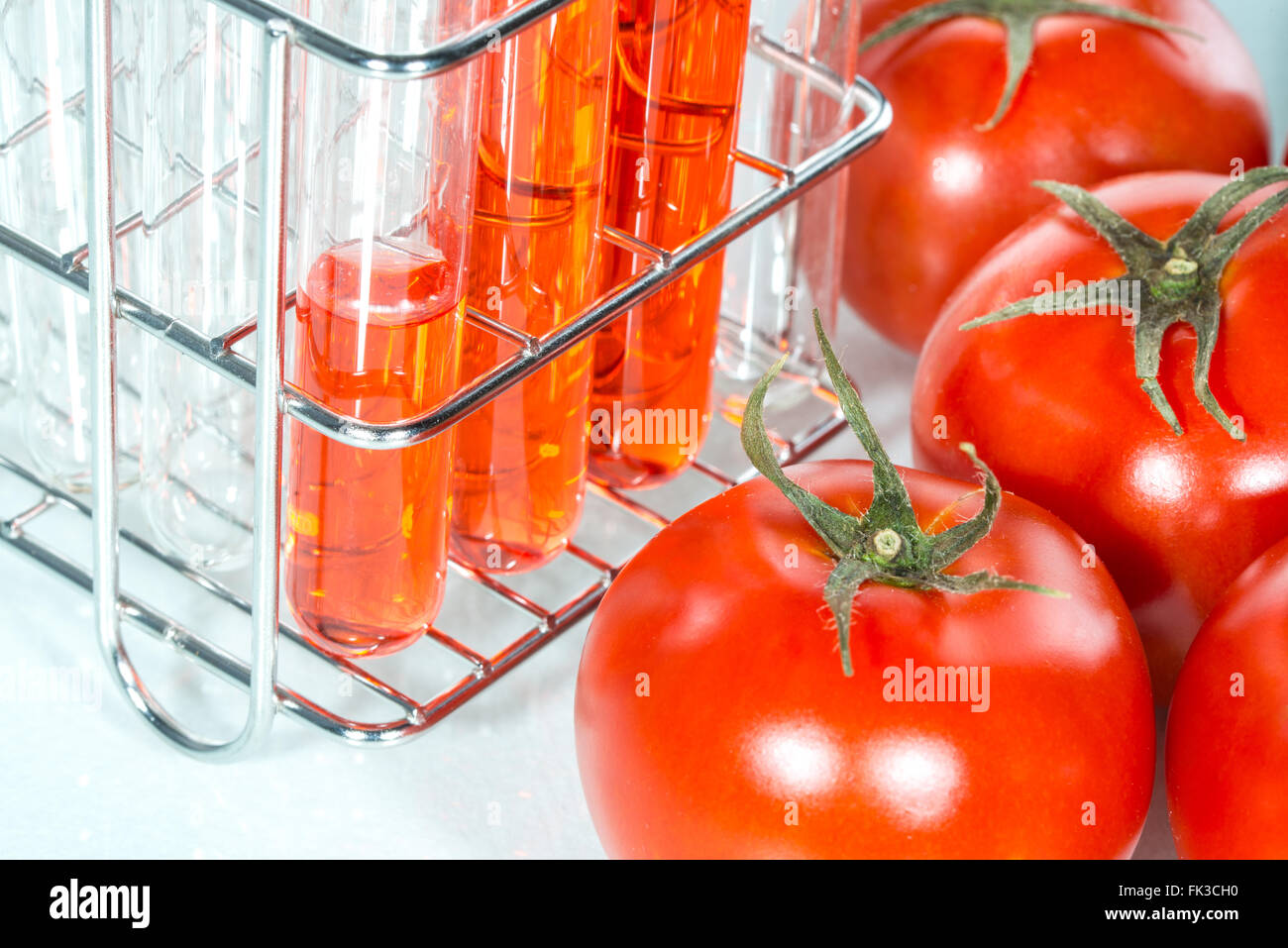 vegetable test, tomato, Genetic Modification, Scientific Experiment ...