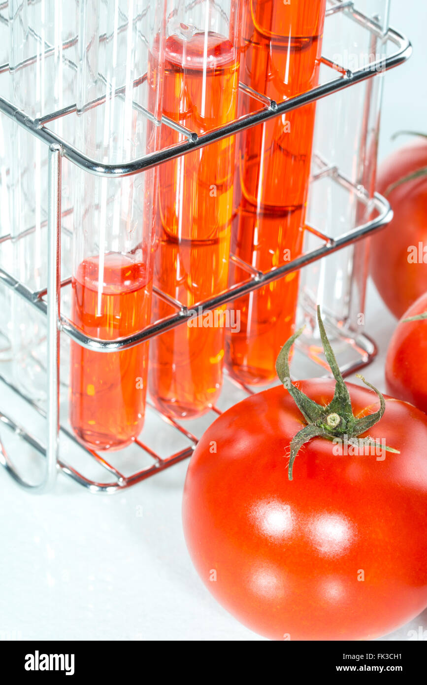 vegetable test, tomato, Genetic Modification, Scientific Experiment ...
