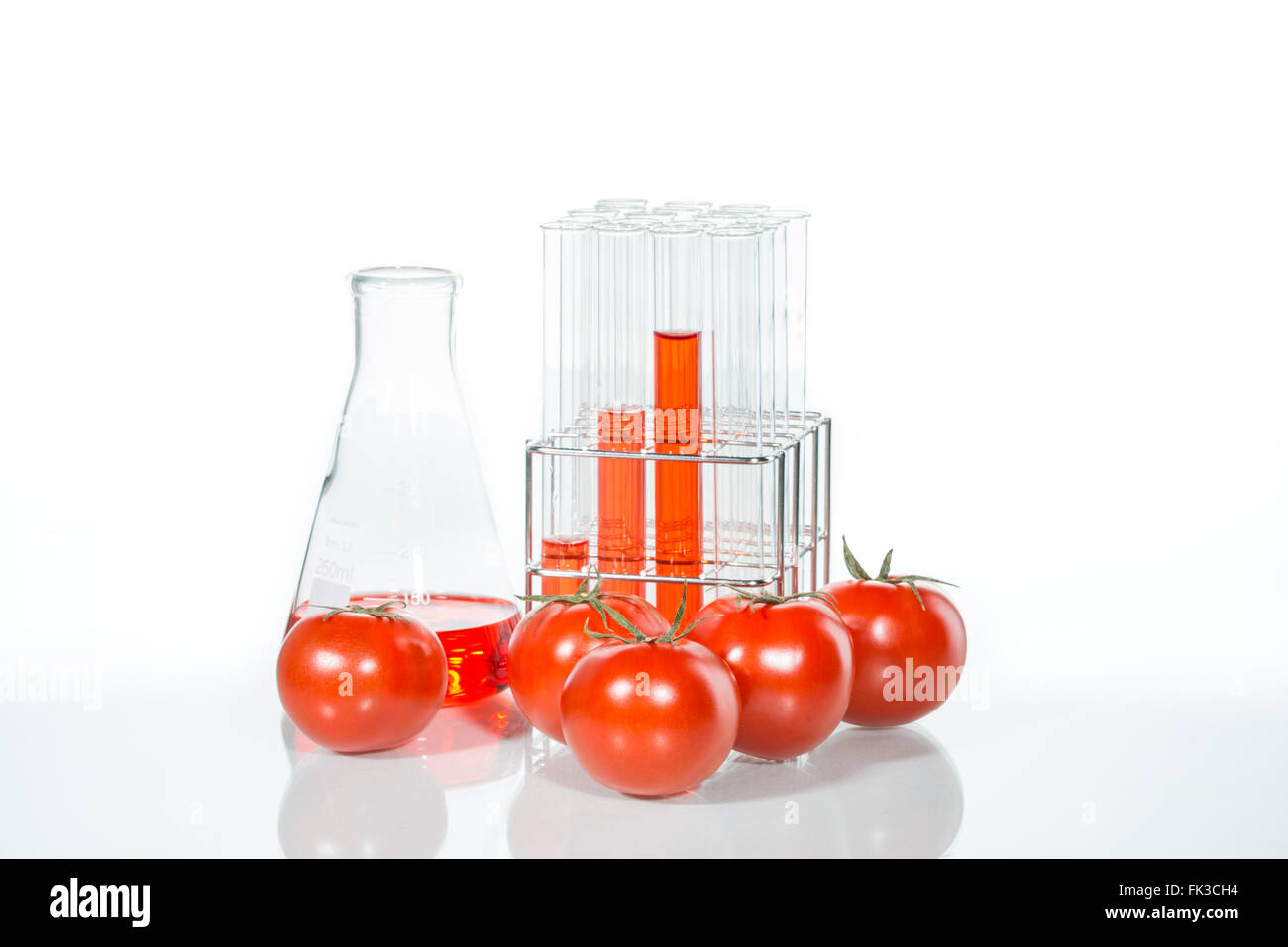 vegetable test, tomato, Genetic Modification, Scientific Experiment ...