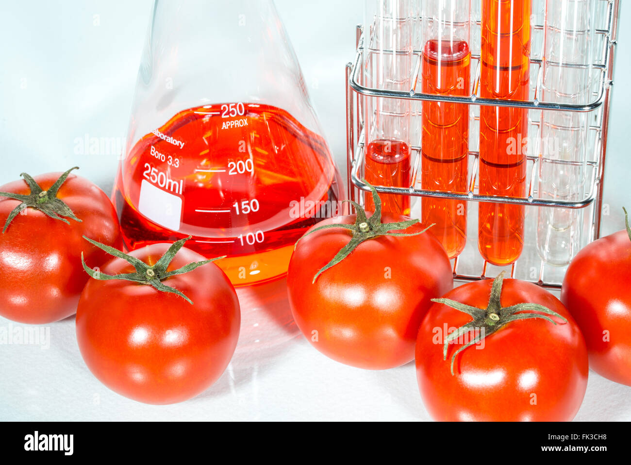 vegetable test, tomato, Genetic Modification, Scientific Experiment ...