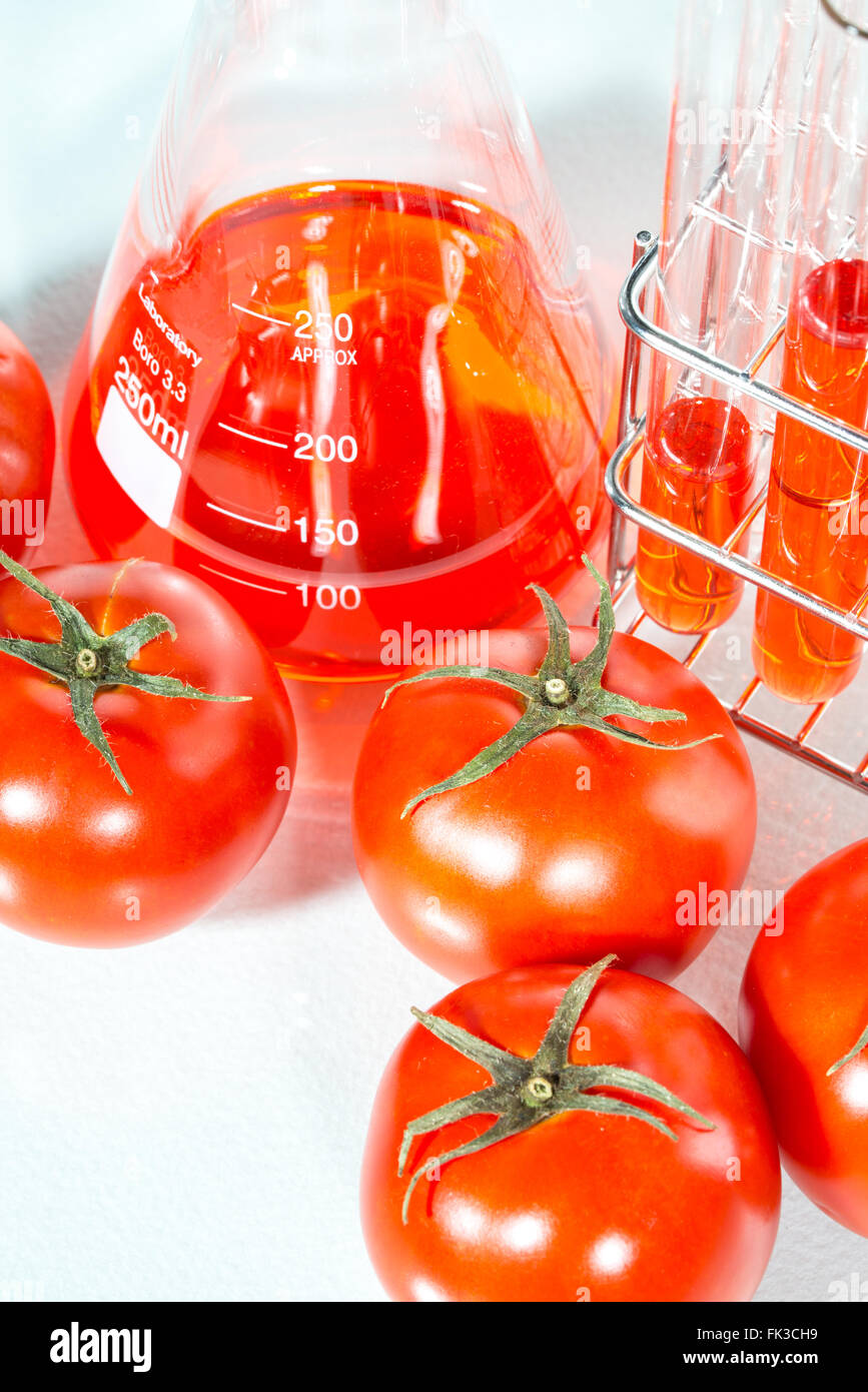 vegetable test, tomato, Genetic Modification, Scientific Experiment ...