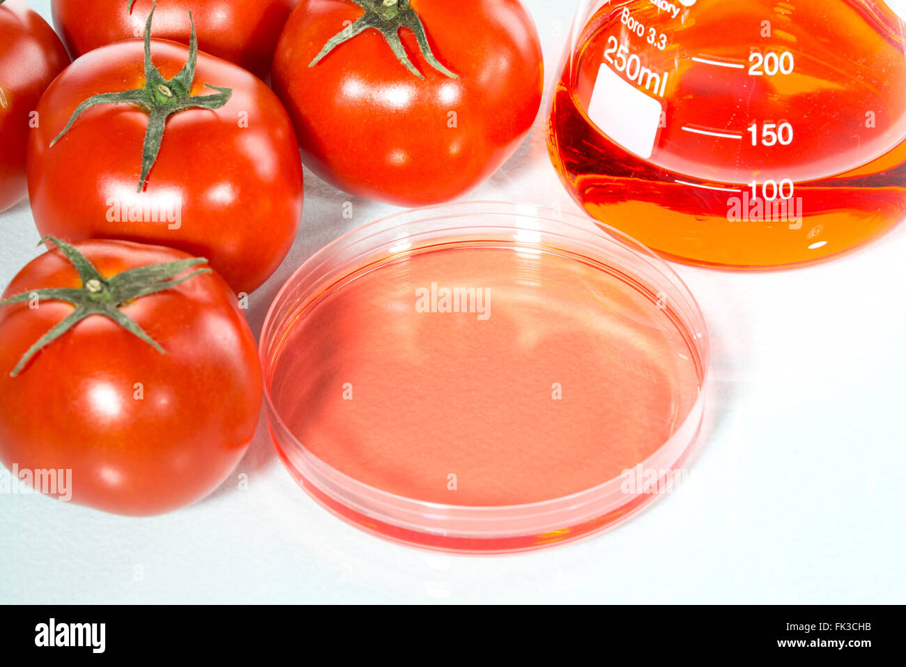 vegetable test, tomato, Genetic Modification, Scientific Experiment ...