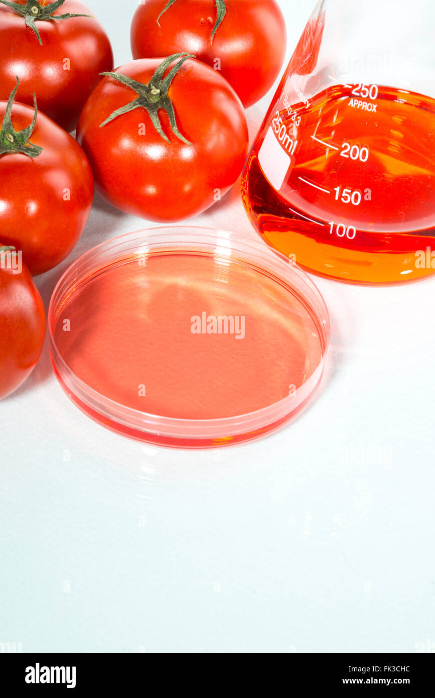 vegetable test, tomato, Genetic Modification, Scientific Experiment ...