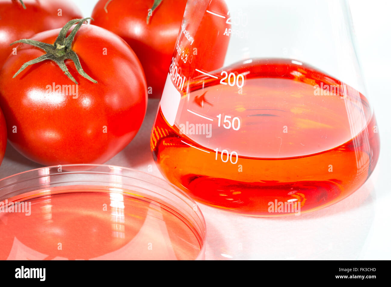 vegetable test, tomato, Genetic Modification, Scientific Experiment ...