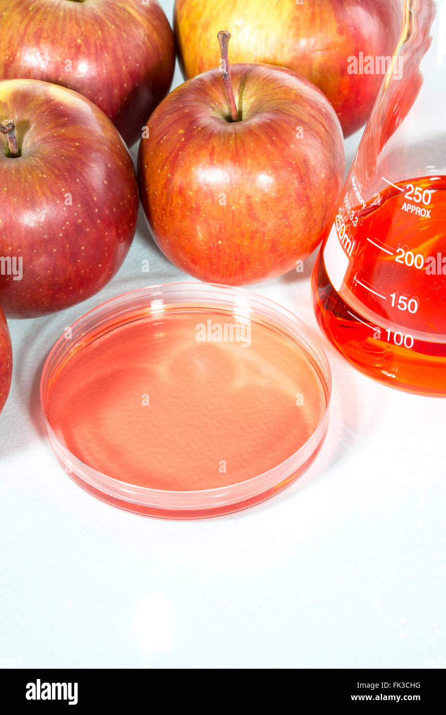 vegetable test, apple, Genetic Modification, Scientific Experiment ...