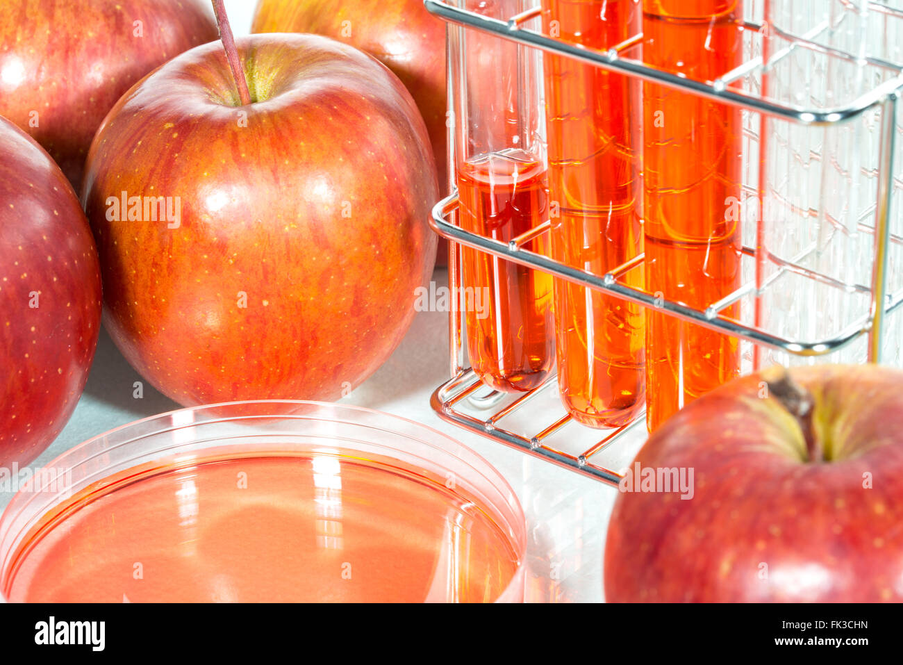 vegetable test, apple, Genetic Modification, Scientific Experiment ...