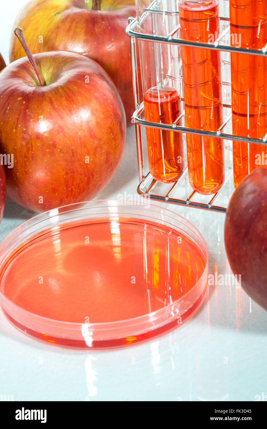 vegetable test, apple, Genetic Modification, Scientific Experiment ...