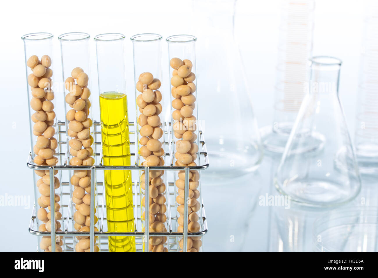 Soybean genetically modified, Plant Cell, laboratory Stock Photo - Alamy