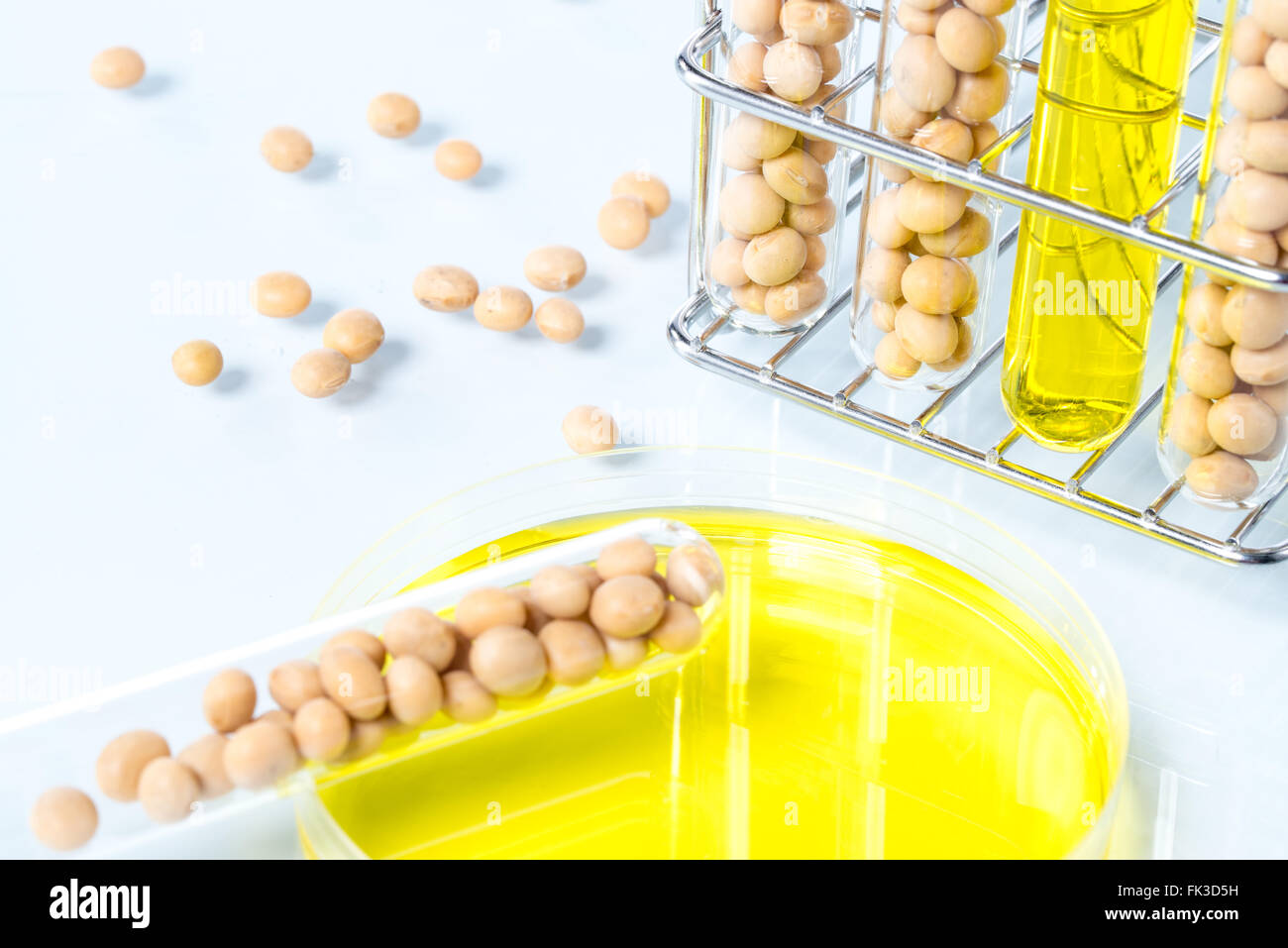 Soybean genetically modified, Plant Cell, laboratory Stock Photo - Alamy