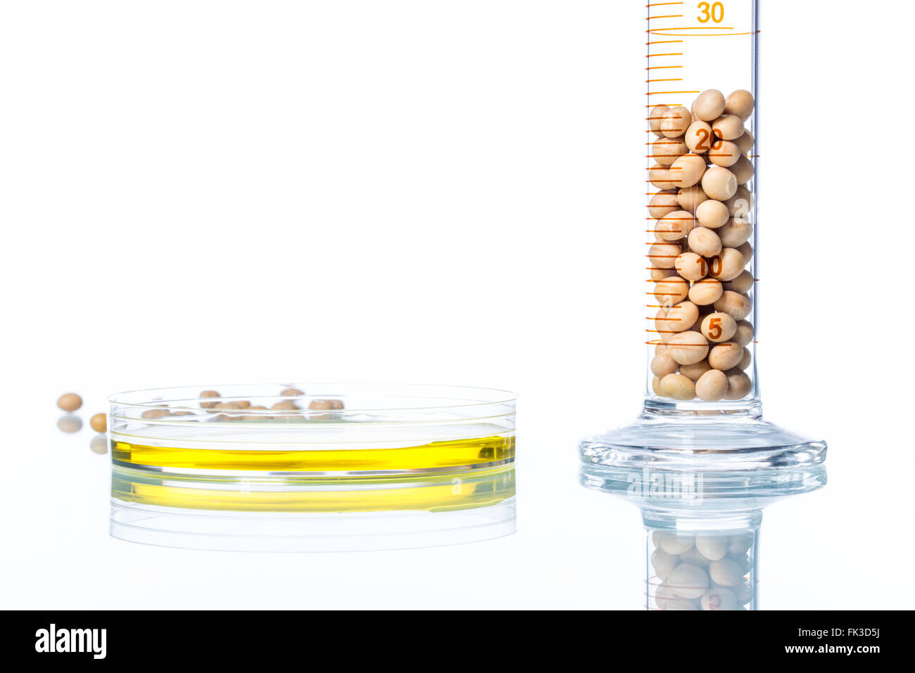 Soybean genetically modified, Plant Cell science Stock Photo - Alamy