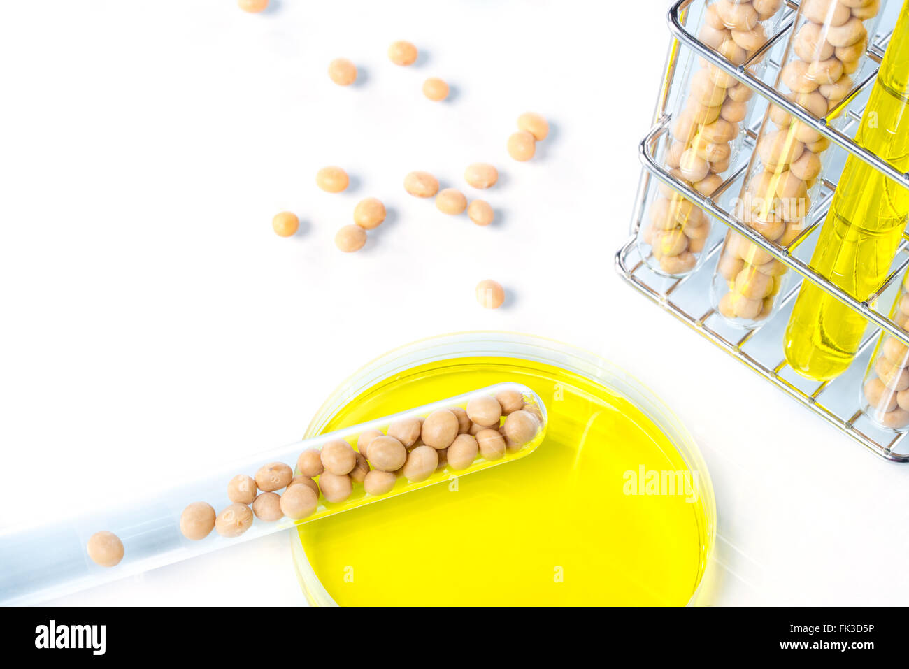 Soybean genetically modified, Plant Cell, laboratory Stock Photo - Alamy