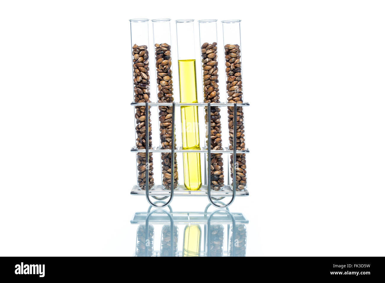 Wheat genetically modified, Plant Cell, science Stock Photo - Alamy