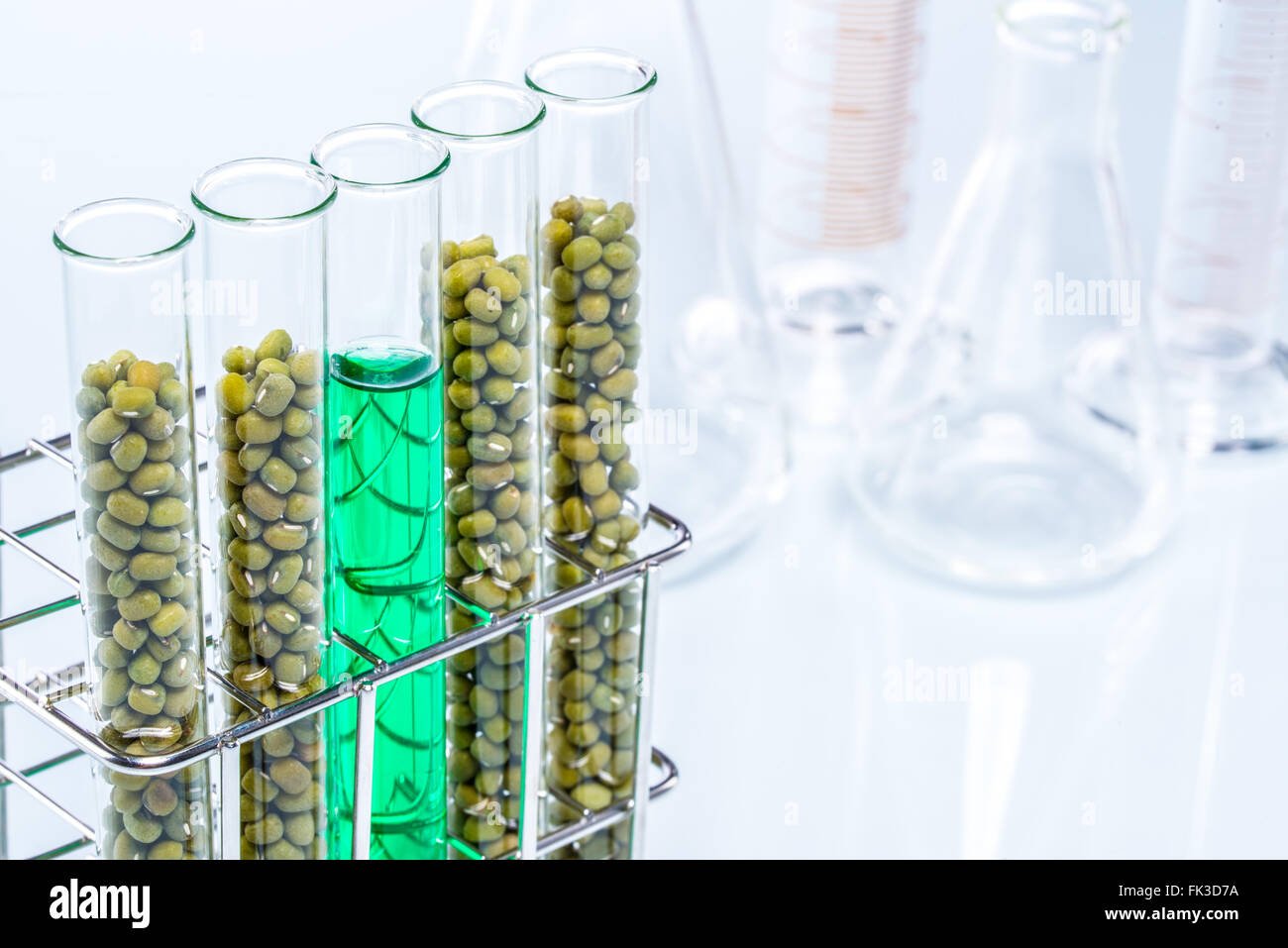 Mung Bean genetically modified, Plant Cell biotechnology Stock Photo ...