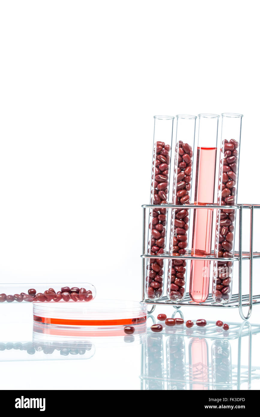 Red beans genetically modified, Plant Cell biotechnology Stock Photo ...