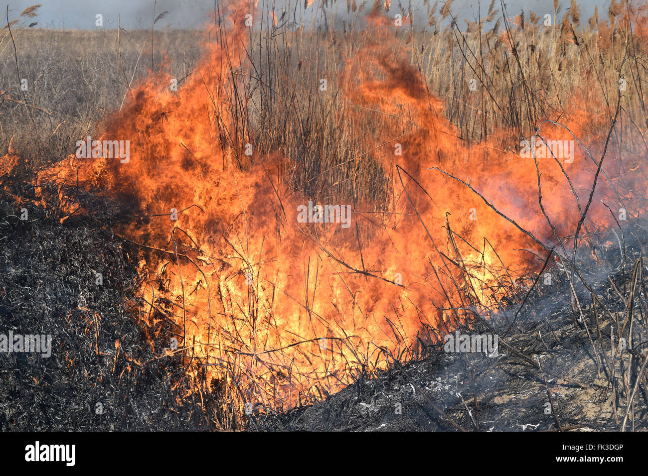 Cleaning ditches hi-res stock photography and images - Alamy