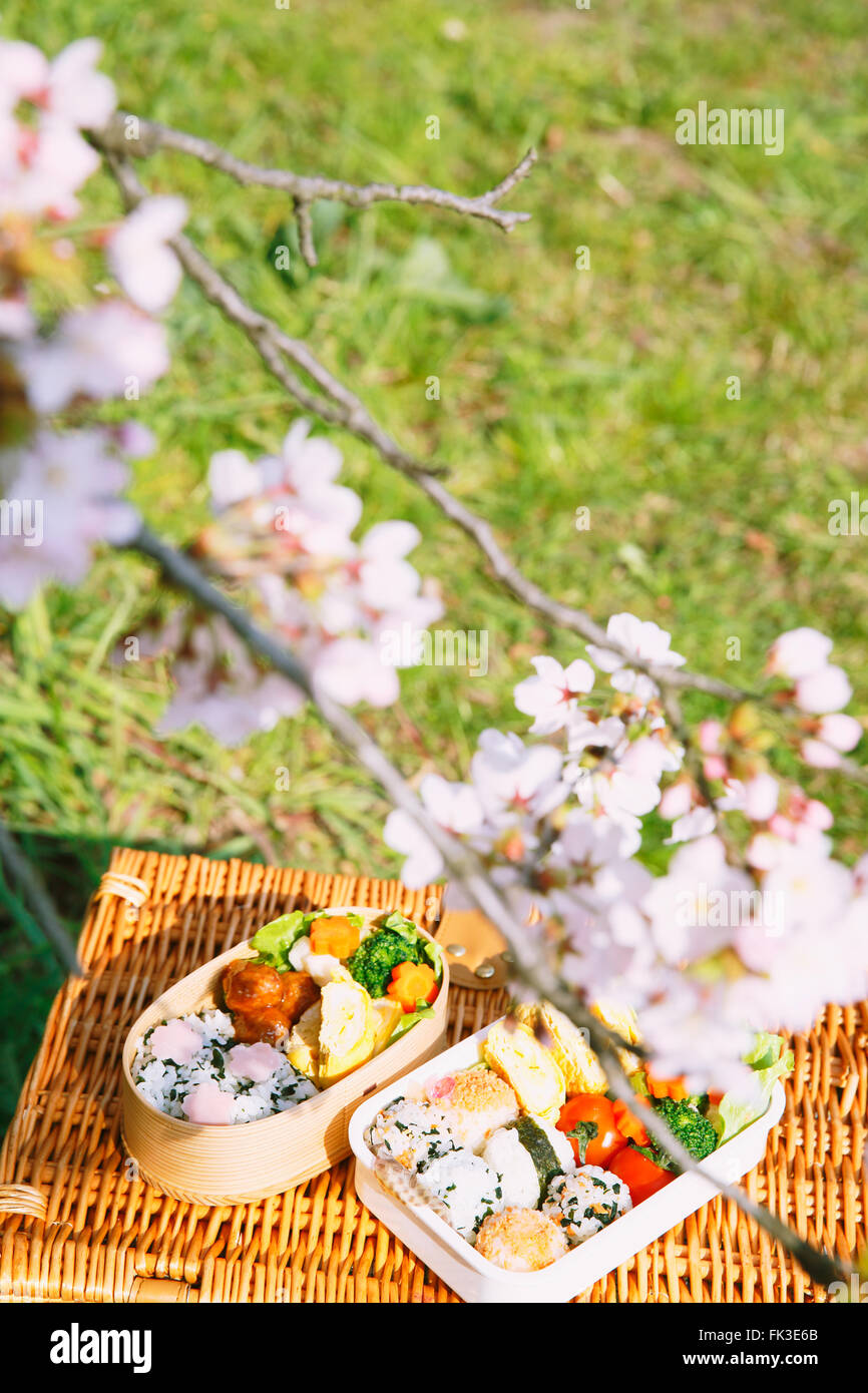 Hanami Bento