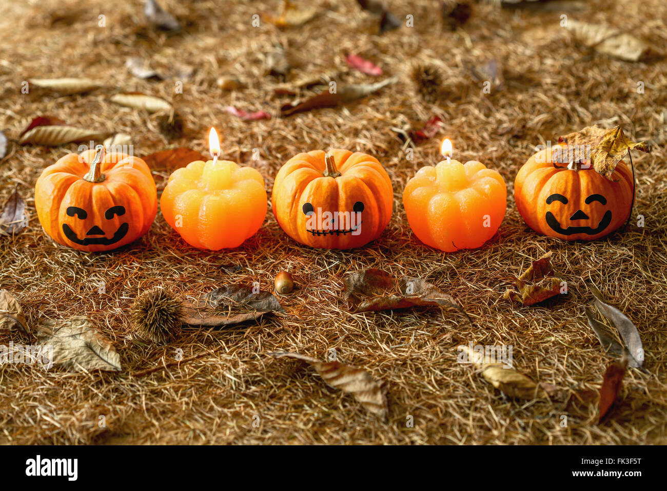 Multiple pumpkins in a line hi-res stock photography and images - Alamy
