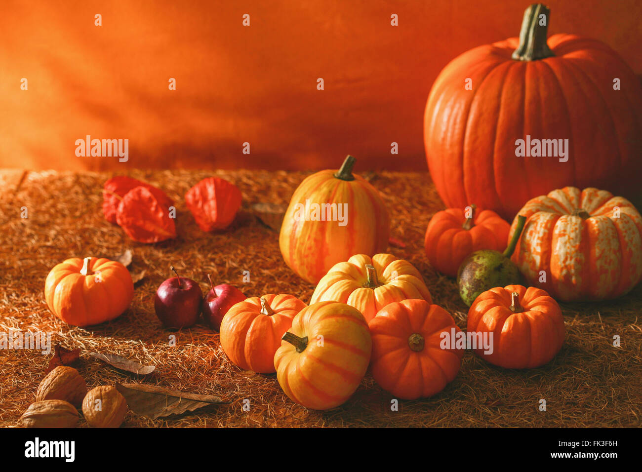 Japanese pumpkins hi-res stock photography and images - Alamy