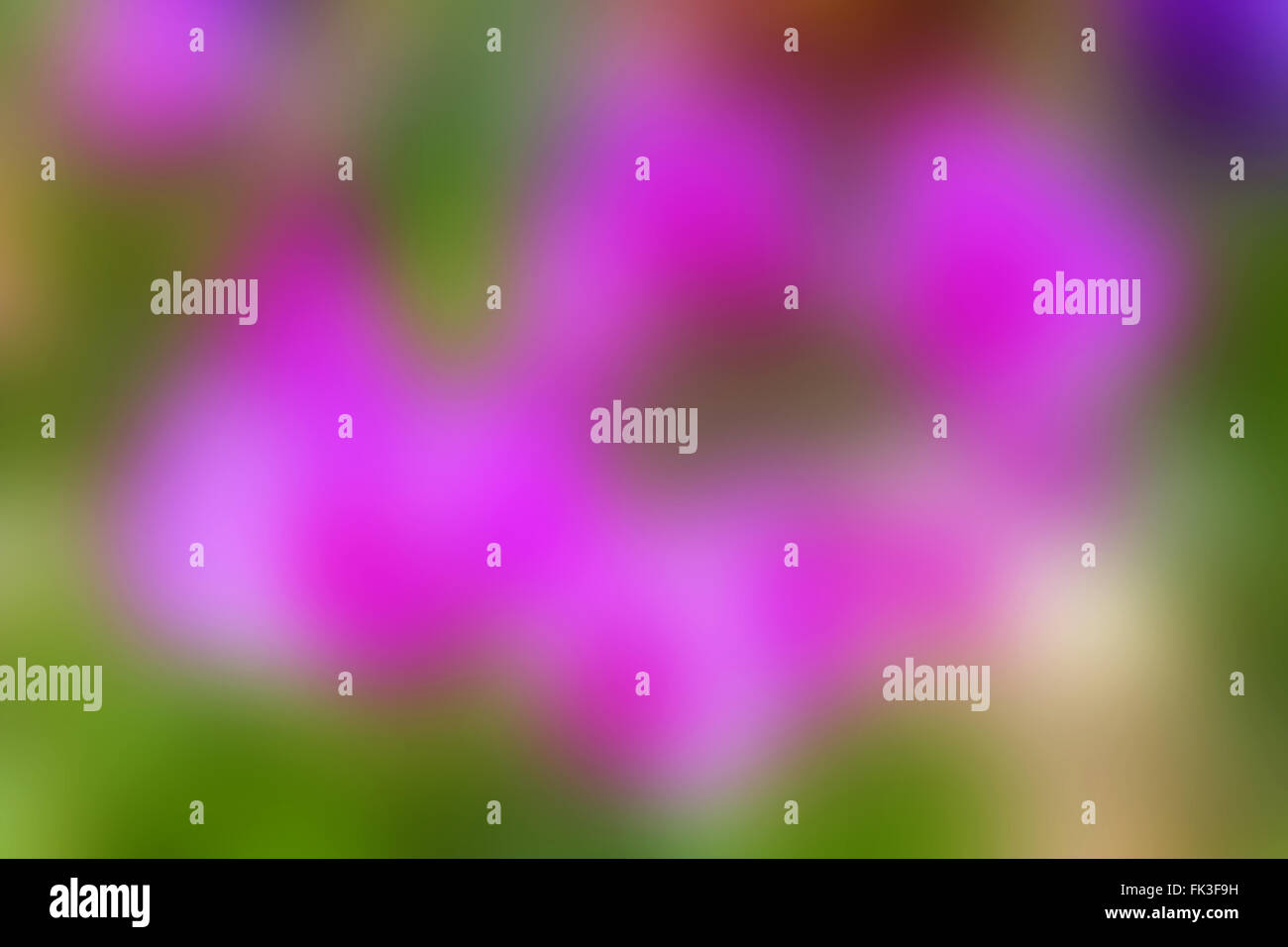 Blur background of flower hi-res stock photography and images - Alamy